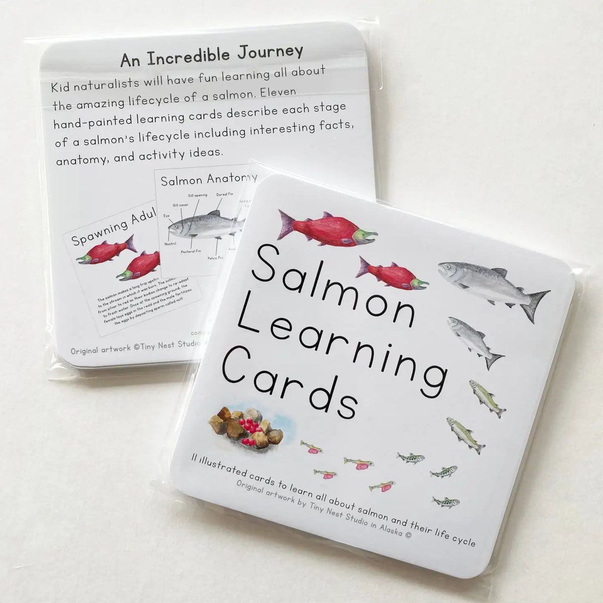 Salmon Life Cycle Learning Cards – Woodlands Clothing